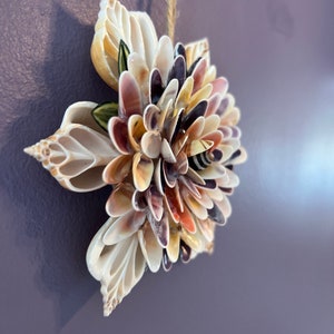 Sliced Seashells and Mixed Color Coquina Shell Magnet/ornament. - Etsy