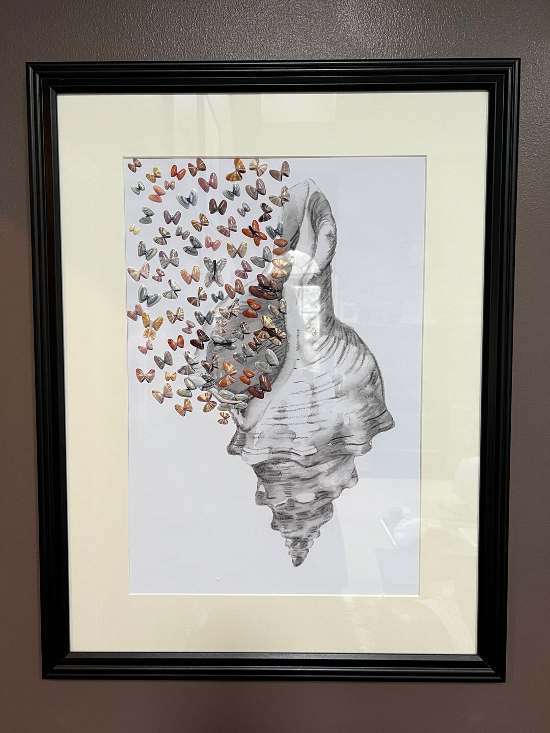 Coquina Shells Let Them Fly - Etsy