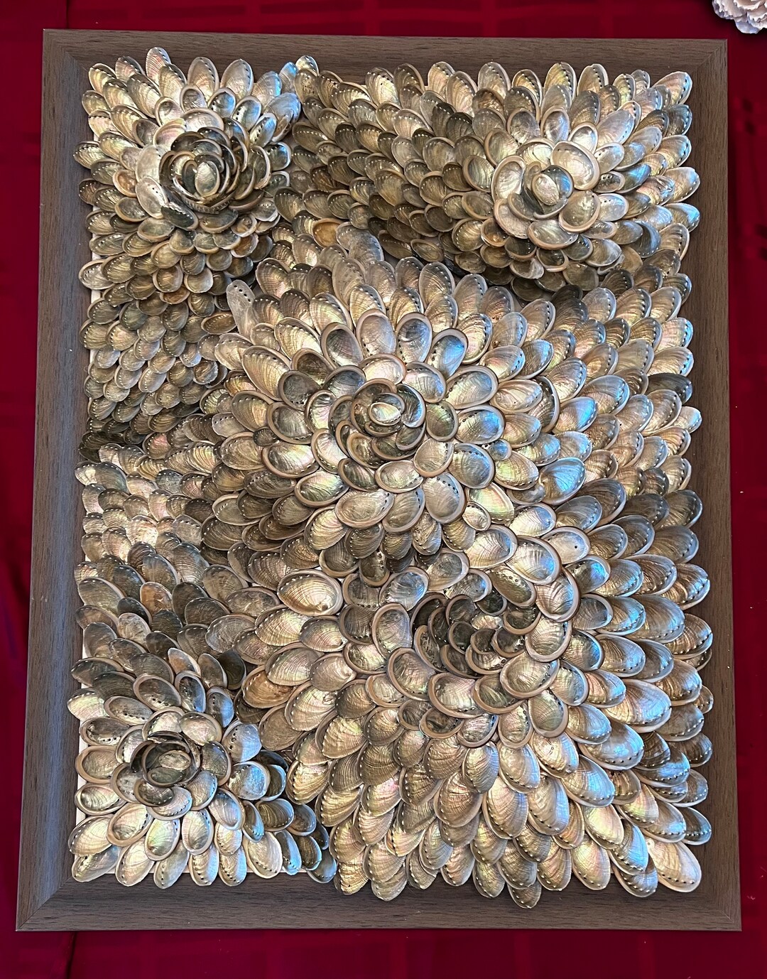 What a Beauty! This 18” X 24” Frame Filled With Abalone Seashells. Over ...