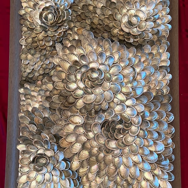 Abalone Framed Art - Etsy