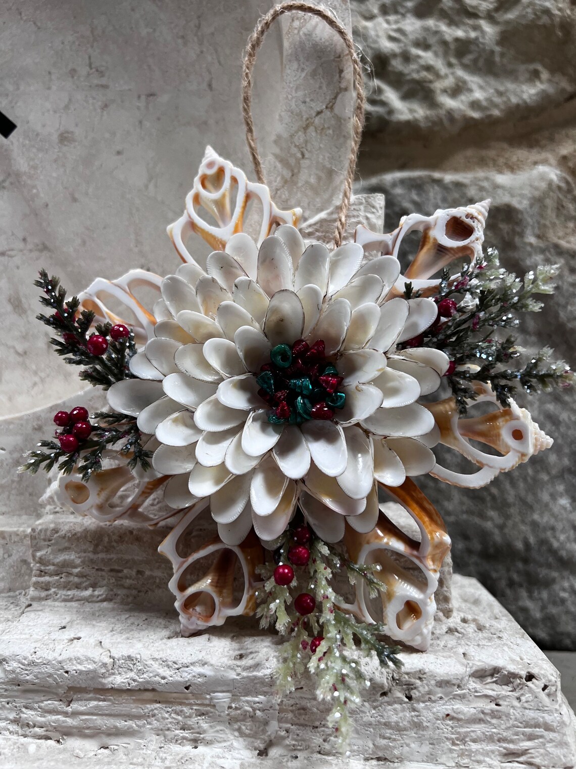 Christmas/holiday Sliced Center Fighting Conch Shells and White Coquina ...