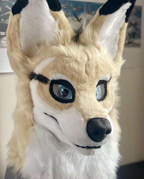 Semi Toony Fursuit Head - Etsy