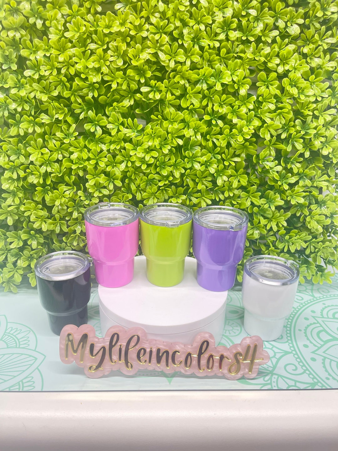 Mini Shot Glass 2 Oz Tumbler Stainless Steel Lid & Straw Bachelorette ...