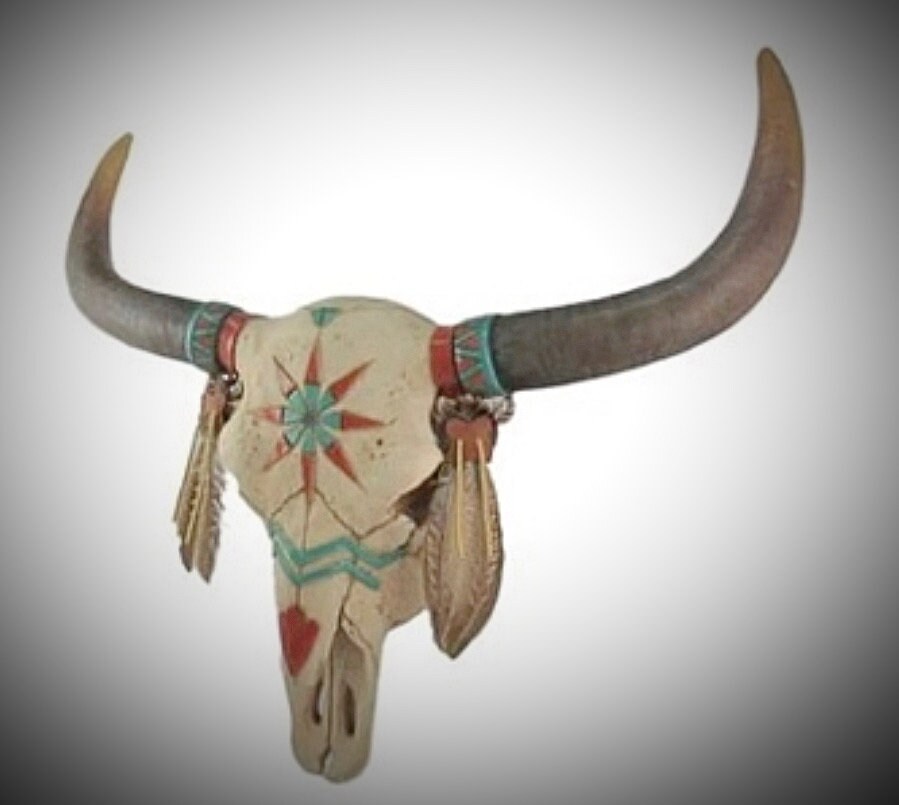 Native Bull Skull, Bull Rider, Western Horned Skull, Southwest Skull ...