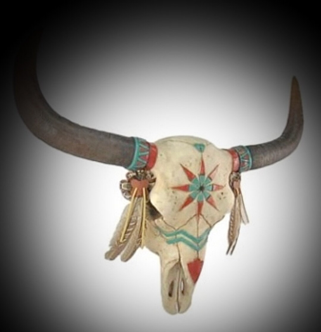 Native Bull Skull, Bull Rider, Western Horned Skull, Southwest Skull ...