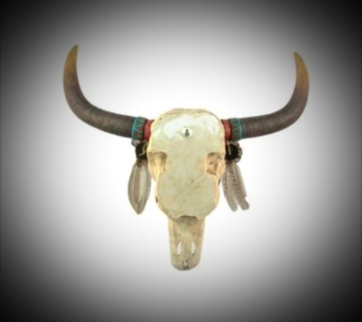 Native Bull Skull, Bull Rider, Western Horned Skull, Southwest Skull ...