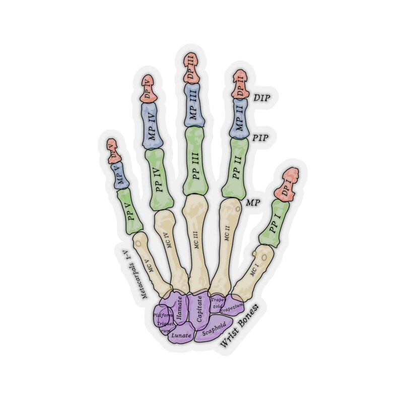 otpassionproject - Etsy