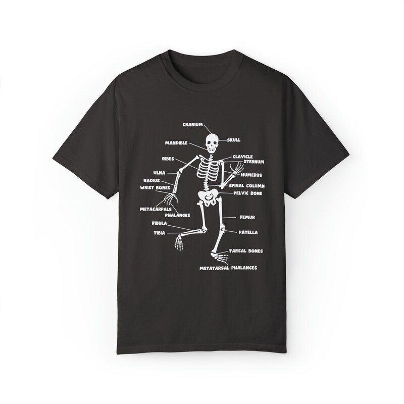 Anatomy T Shirt - Etsy