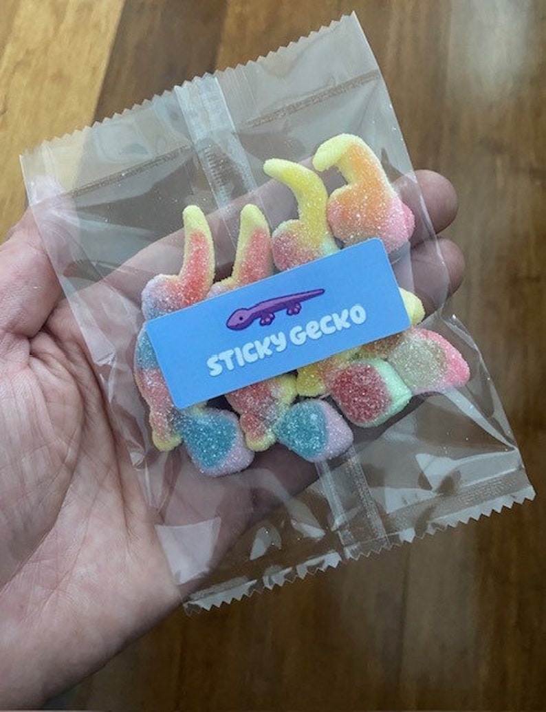 Sticky Gecko - Party Favours - Etsy