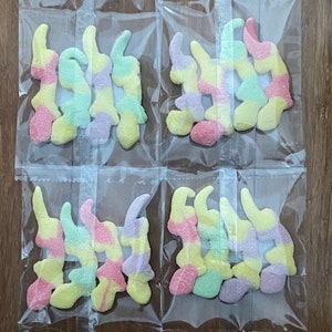Sticky Gecko - Party Favours - Etsy