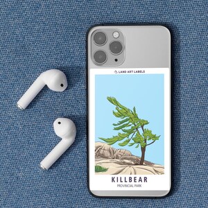 Killbear Provincial Park, Iconic Pine Tree - 2.75"x4.25" Card Sticker ...