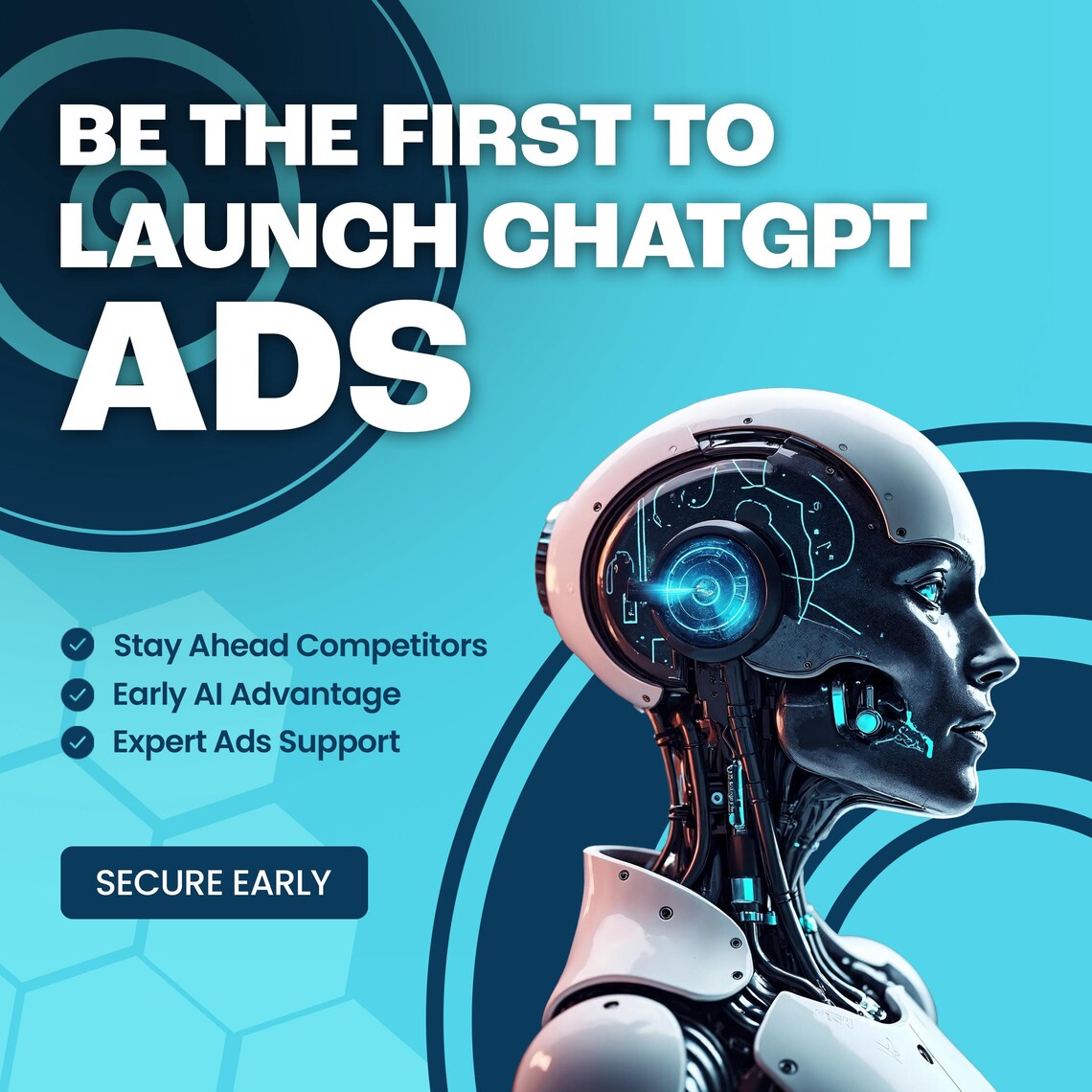 Custom AI Ads Expert Service – Early Access Ad Campaign - Etsy