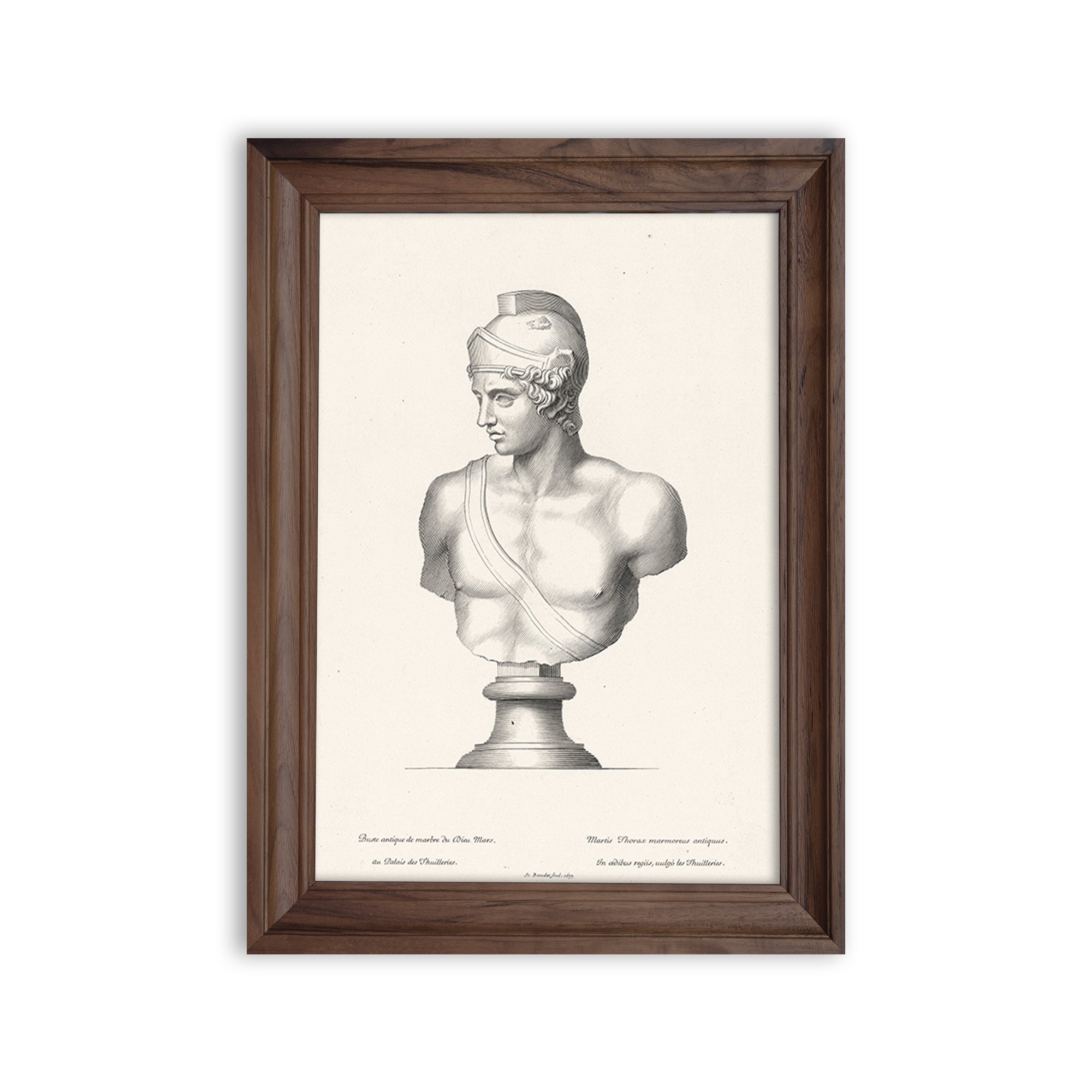 Antique Bust Statue Printable Art, Vintage Engraving Downloadable Art ...
