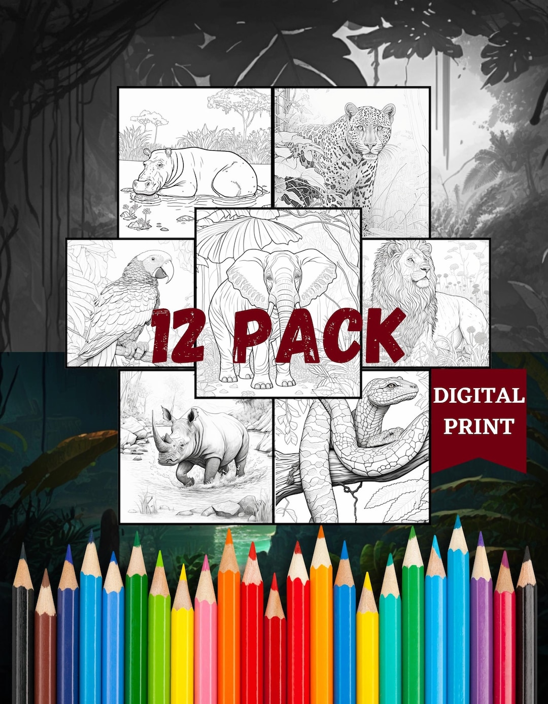 Coloring Book With Jungle Animals, Digital Download, 12 Pack Jungle ...