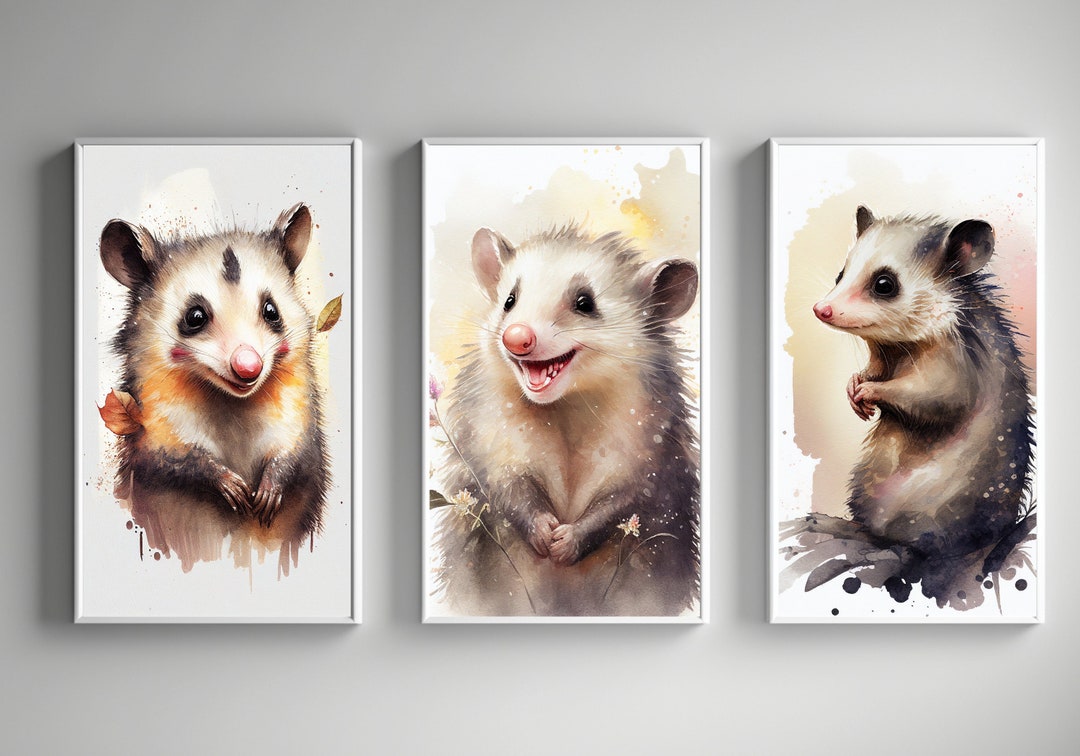 Set of 3 Opossum Print Watermark Painting Digital Download Wall Art ...