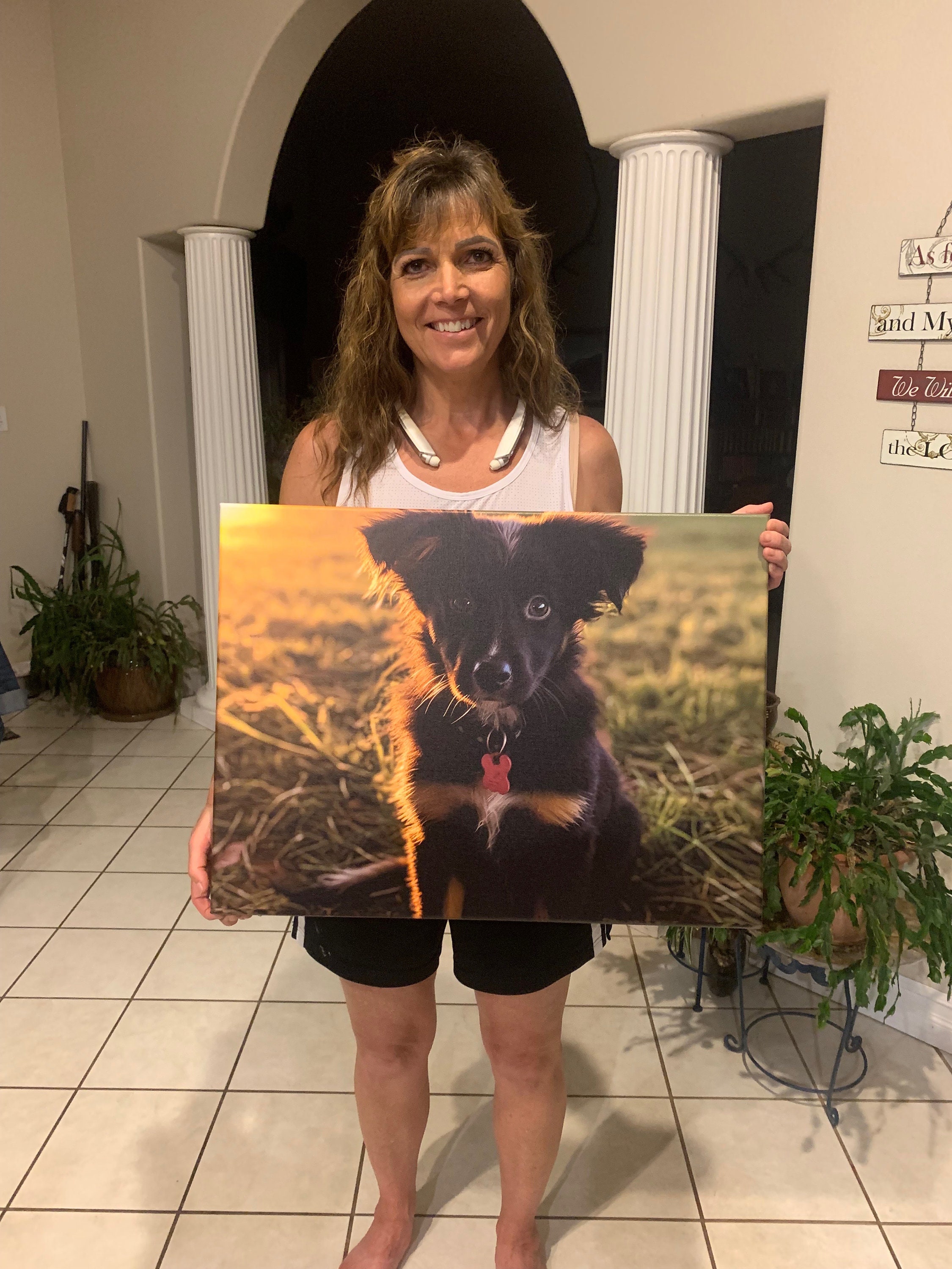 Mini Australian Shepherd Canvas Wall Art - Etsy