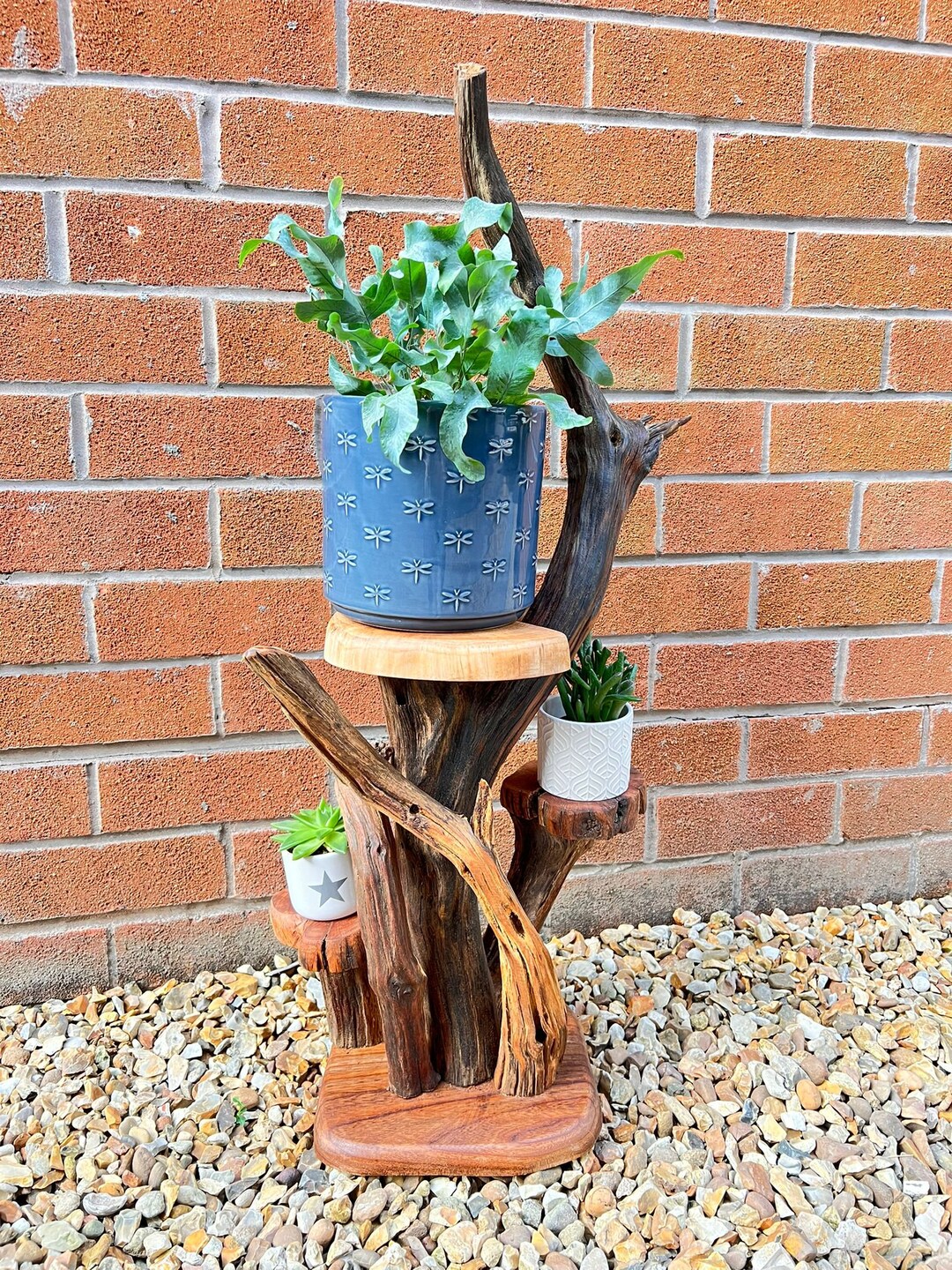 Driftwood Plant Stand, Oak Plant Stand, Rustic Plant Stand, - Etsy UK