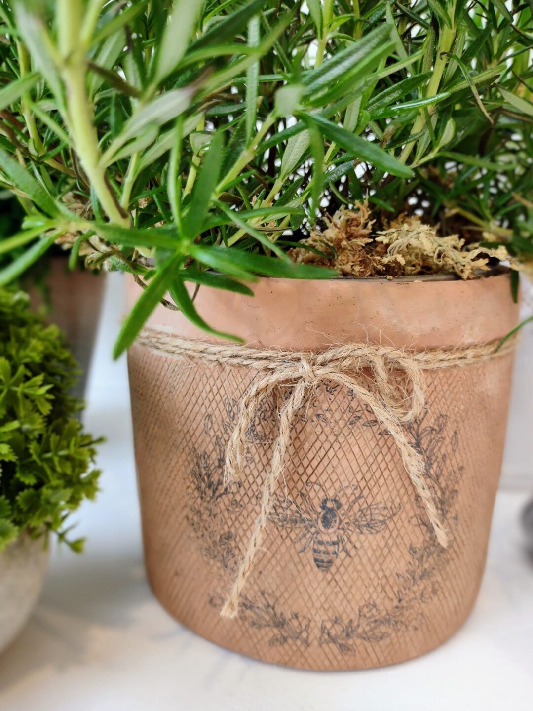 Terracotta Bee Plant Pot - Etsy