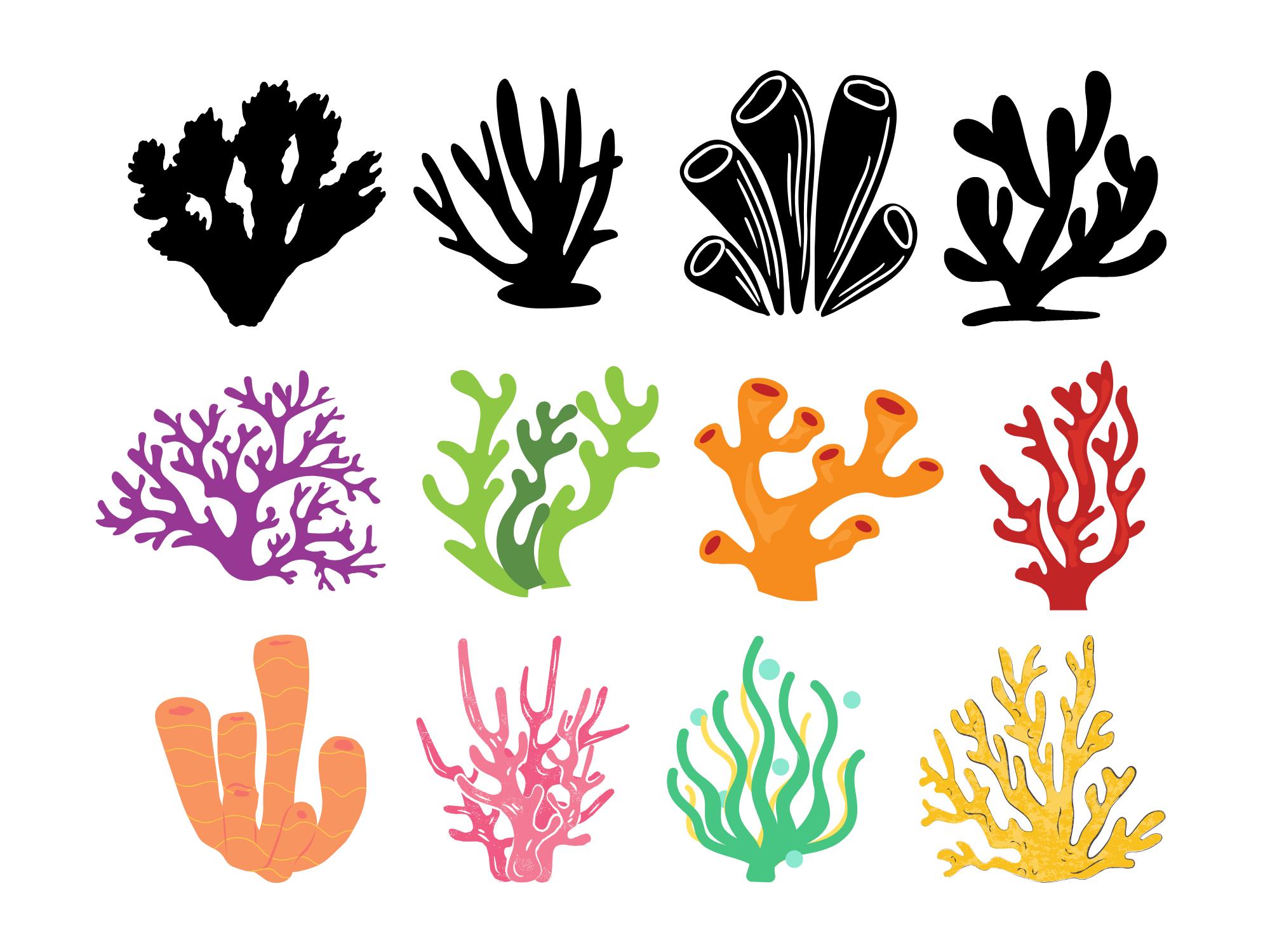 Coral SVG Bundle, Coral Clipart, Coral Silhouette, Seaweed Svg, Coral ...