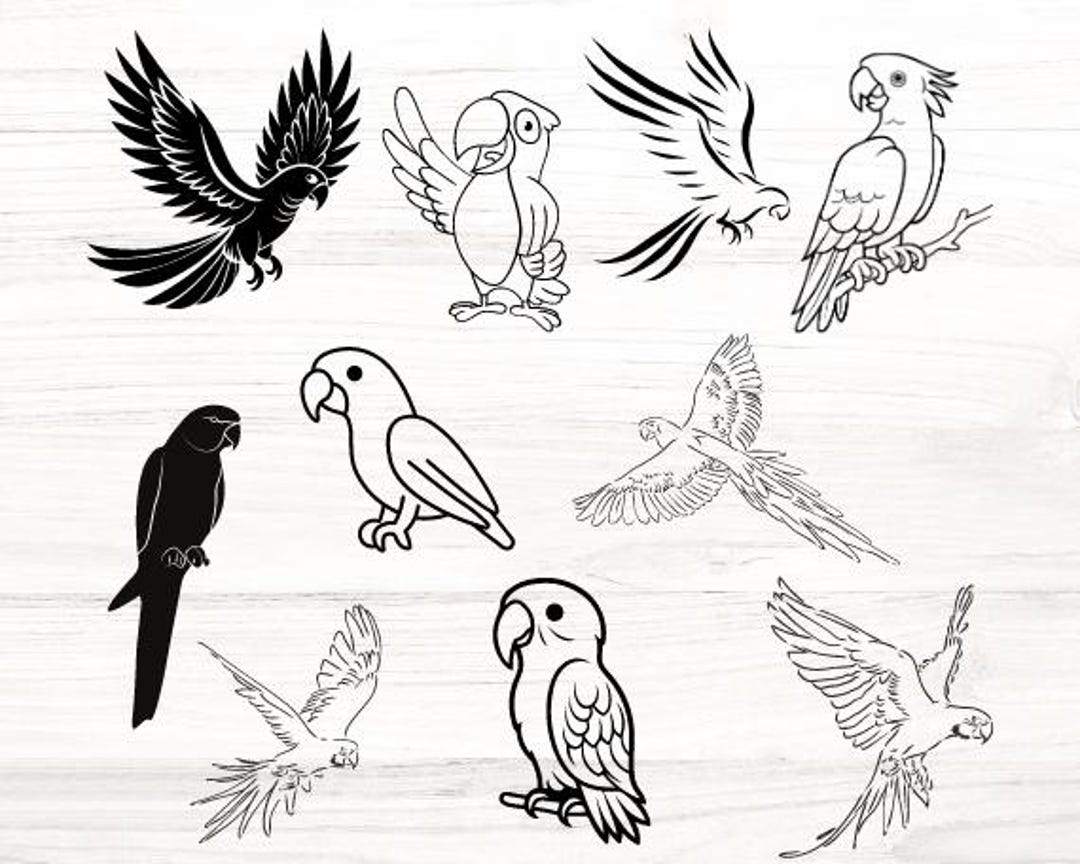 Parrot SVG, Parrot Clipart, Parrot Cut Files, Bird Silhouette, Animal ...