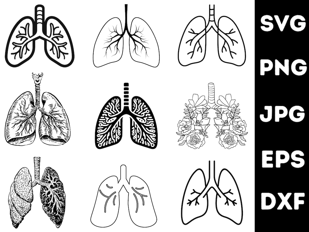 Lungs Svg Bundle, Human Lung Svg, Floral Lungs Svg, Wild Flowers SVG ...
