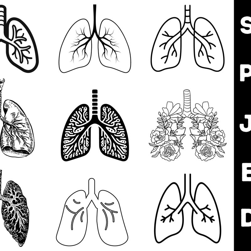 Lung Svg - Etsy