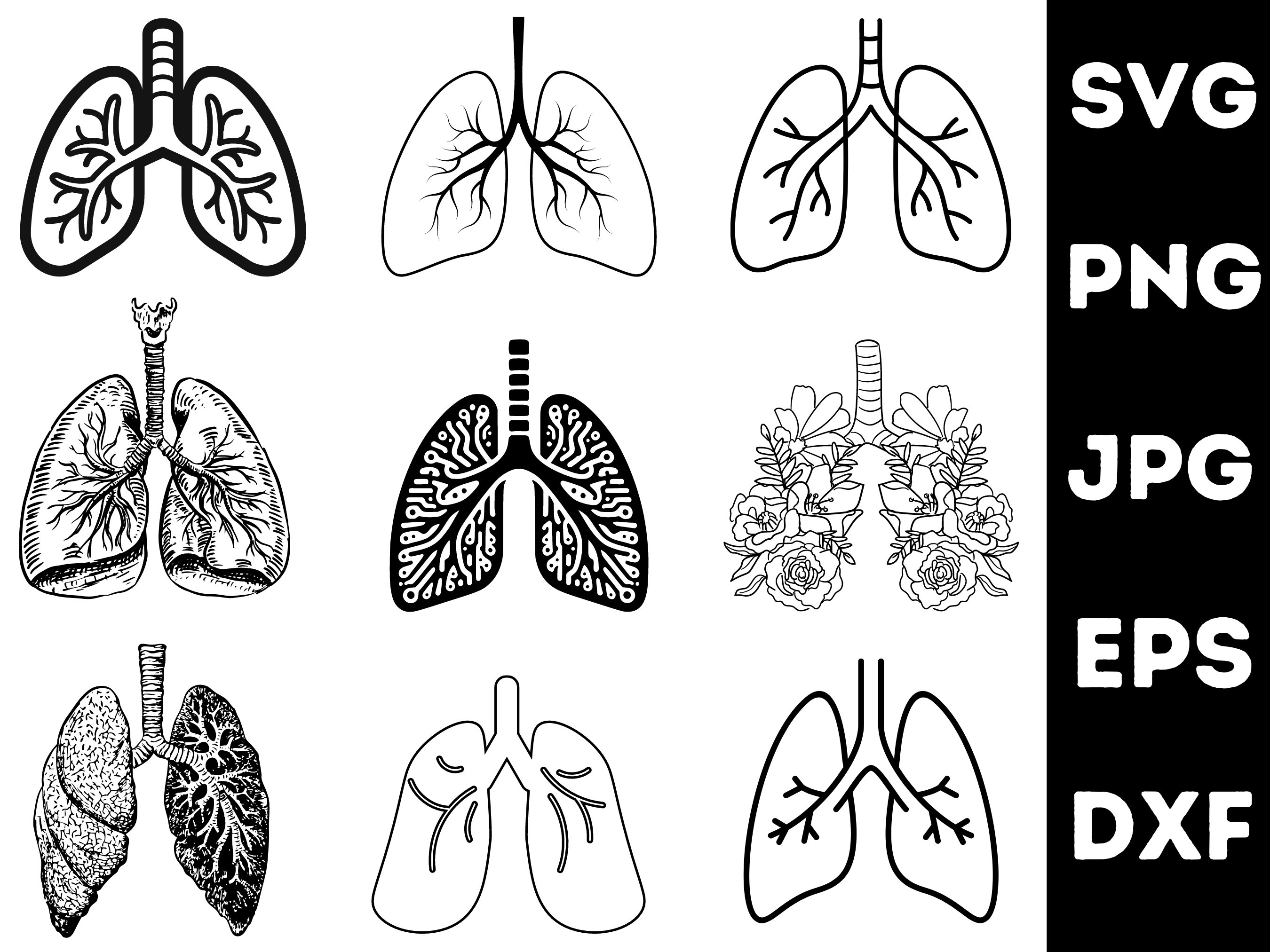 Lungs Svg Bundle, Human Lung Svg, Floral Lungs Svg, Wild Flowers SVG ...