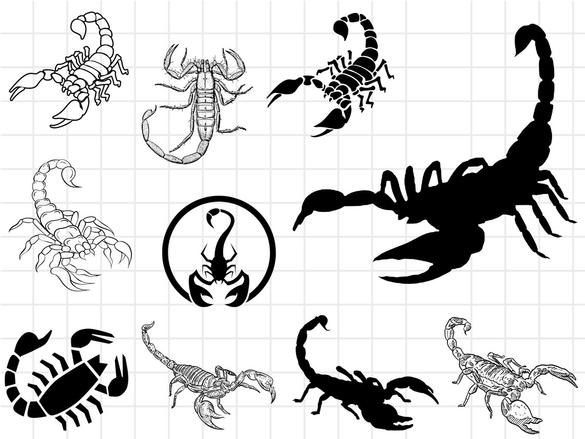 Scorpion SVG Bundle, Scorpion Dxf, Scorpion Png, Scorpion Eps, Scorpion ...