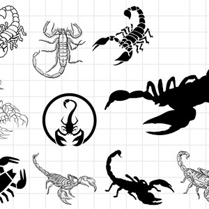 Scorpion SVG Bundle, Scorpion Dxf, Scorpion Png, Scorpion Eps, Scorpion ...