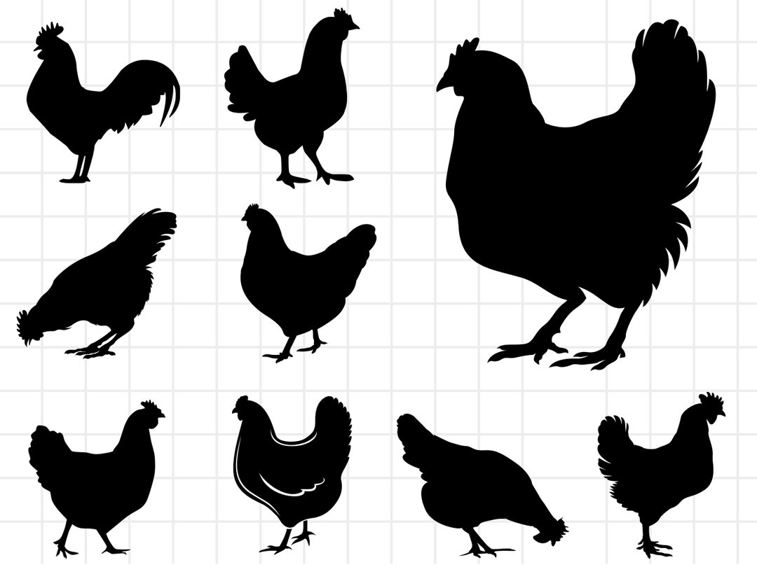 Chicken SVG, Chicken Clipart, Rooster Cut Files, Hen Silhouette ...