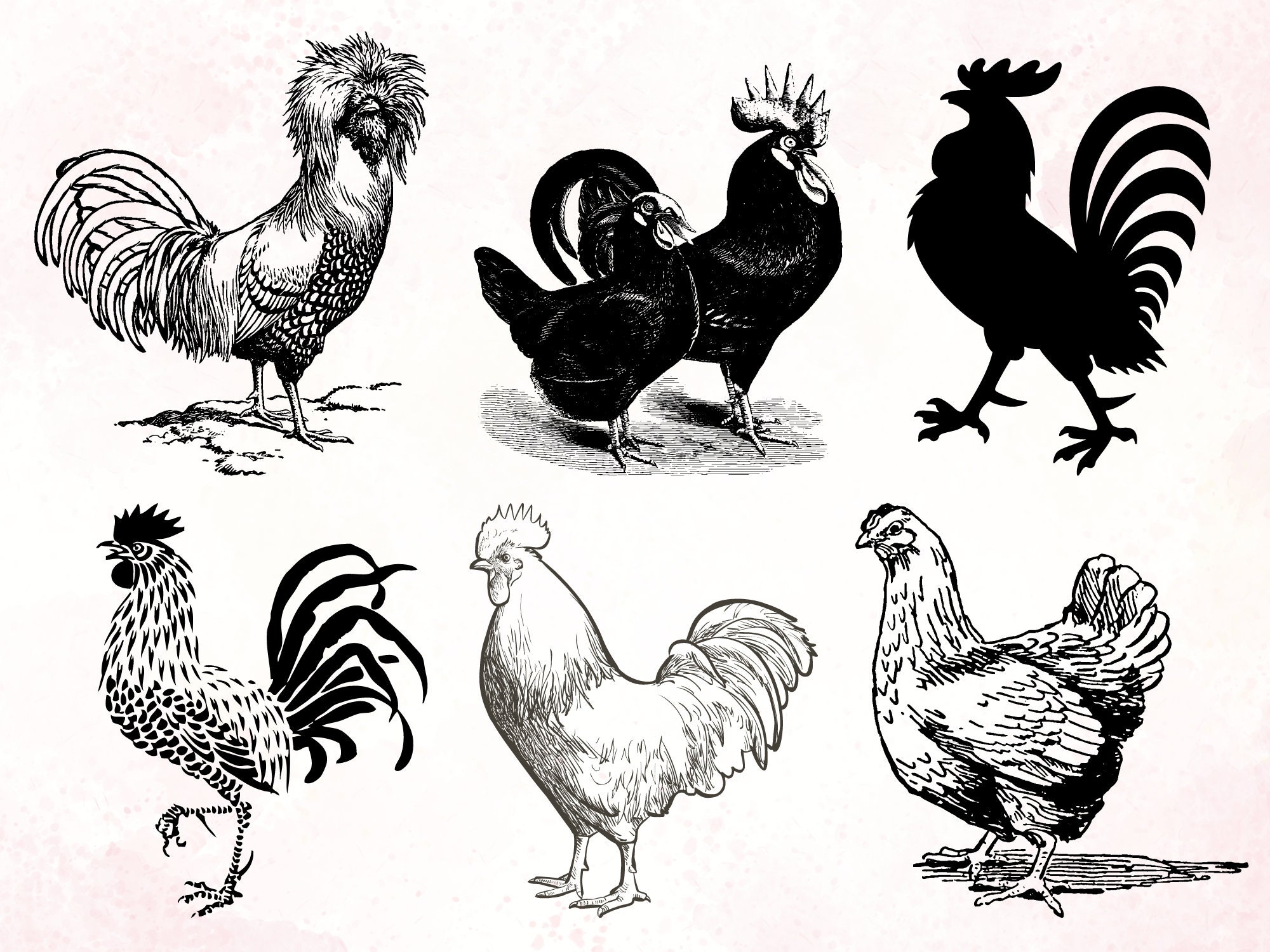 Rooster Svg Bundle, Floral Rooster Svg, Rooster Cut Files for Cricut ...