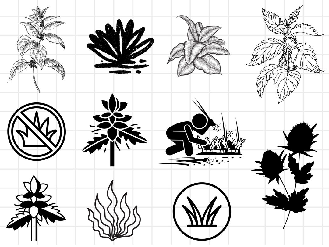 Weed Svg, Stoner Bundle Svg, Weed Smokings Svg for Cricut, Marijuana ...