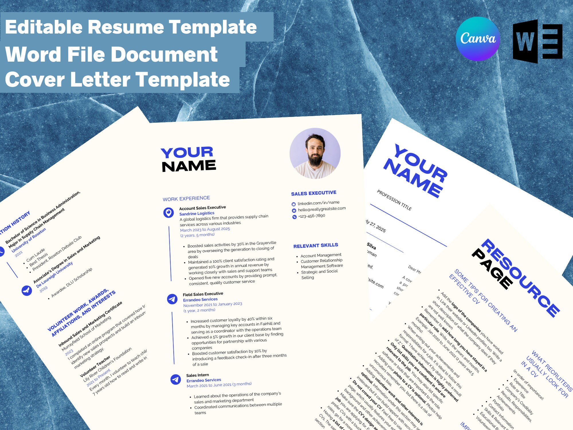 Executive Resume Template Executive Resume Template Word Modern ...