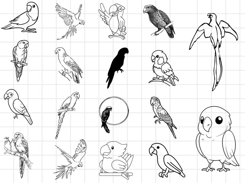 Parrot SVG Bundle , Parrot Clipart, Parrot Cut Files, Bird Silhouette ...