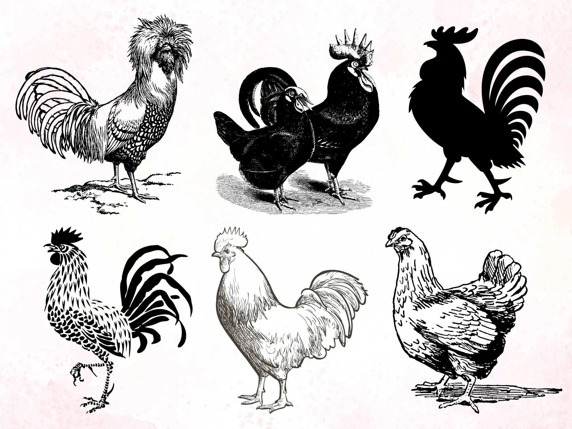 Rooster Svg Bundle, Floral Rooster Svg, Rooster Cut Files for Cricut ...