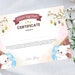 Easter Bunny Certificate Printable, Printable Easter Gift Certificates ...