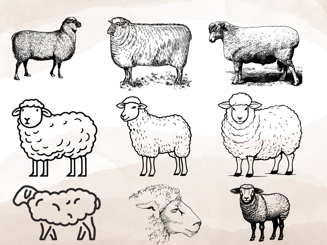 Sheep SVG Bundle: Farm Animal Clipart (PNG, SVG) - Etsy Canada