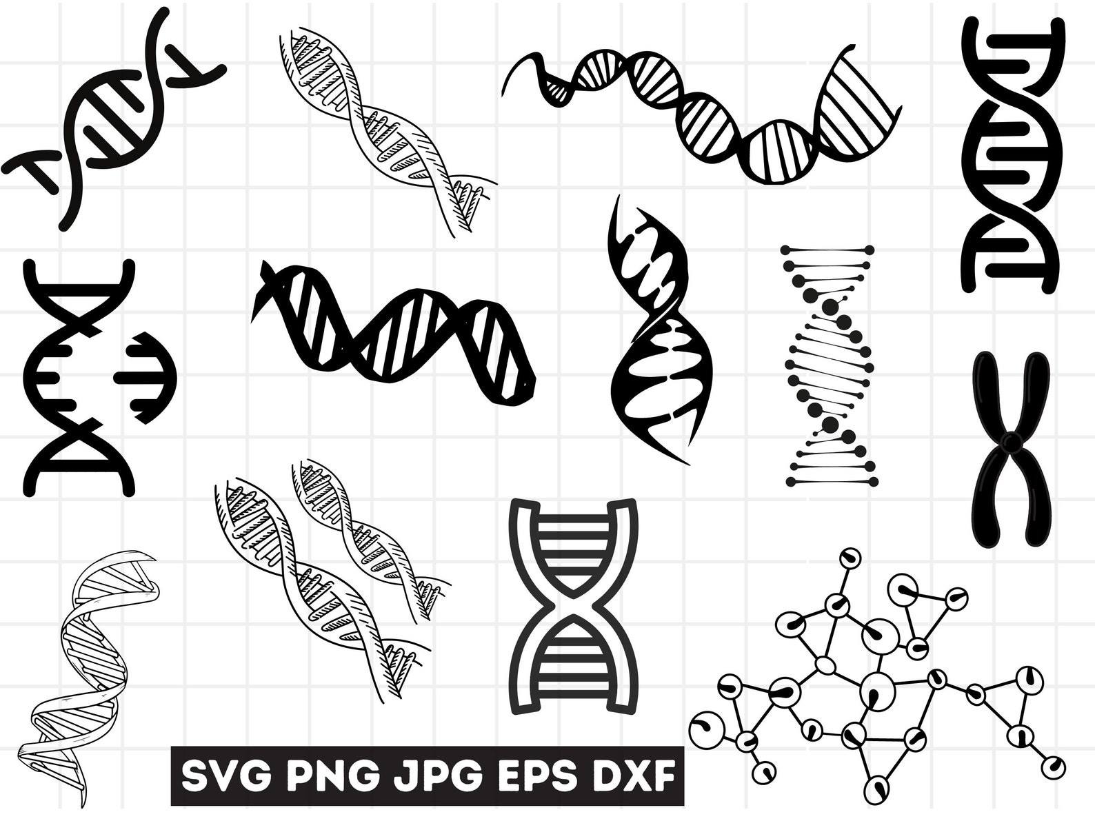Dna SVG Bundle, Dna Dxf, Dna Png, Dna Eps, Dna Clipart, Dna Vector, Dna ...