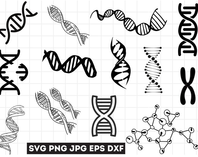 ATGC DNA Svg File, Genomic Alphabet Svg Files for Cricut & Silhouette ...