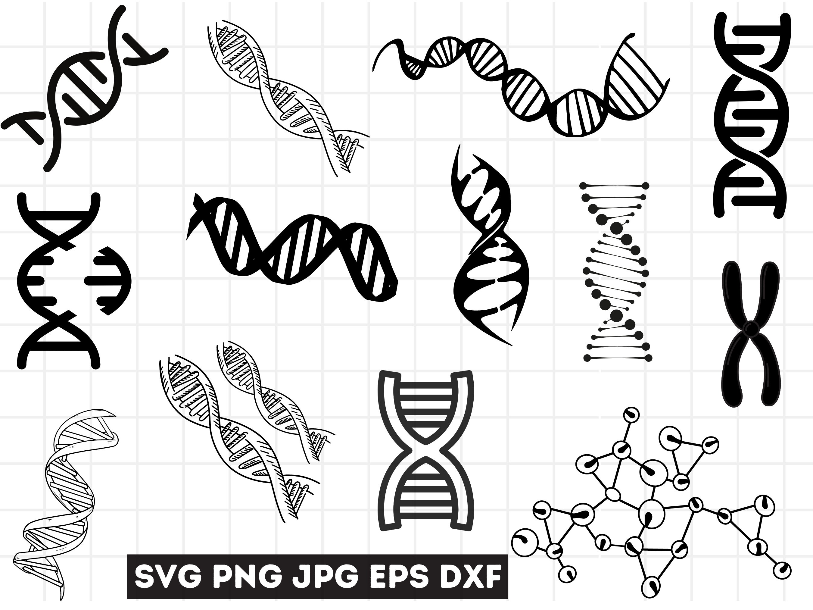 Dna SVG Bundle, Dna Dxf, Dna Png, Dna Eps, Dna Clipart, Dna Vector, Dna ...