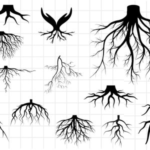 Tree Roots SVG File for Cricut, Bundle Collection of Roots, Vector ...