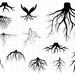 Tree Roots SVG File for Cricut, Bundle Collection of Roots, Vector ...
