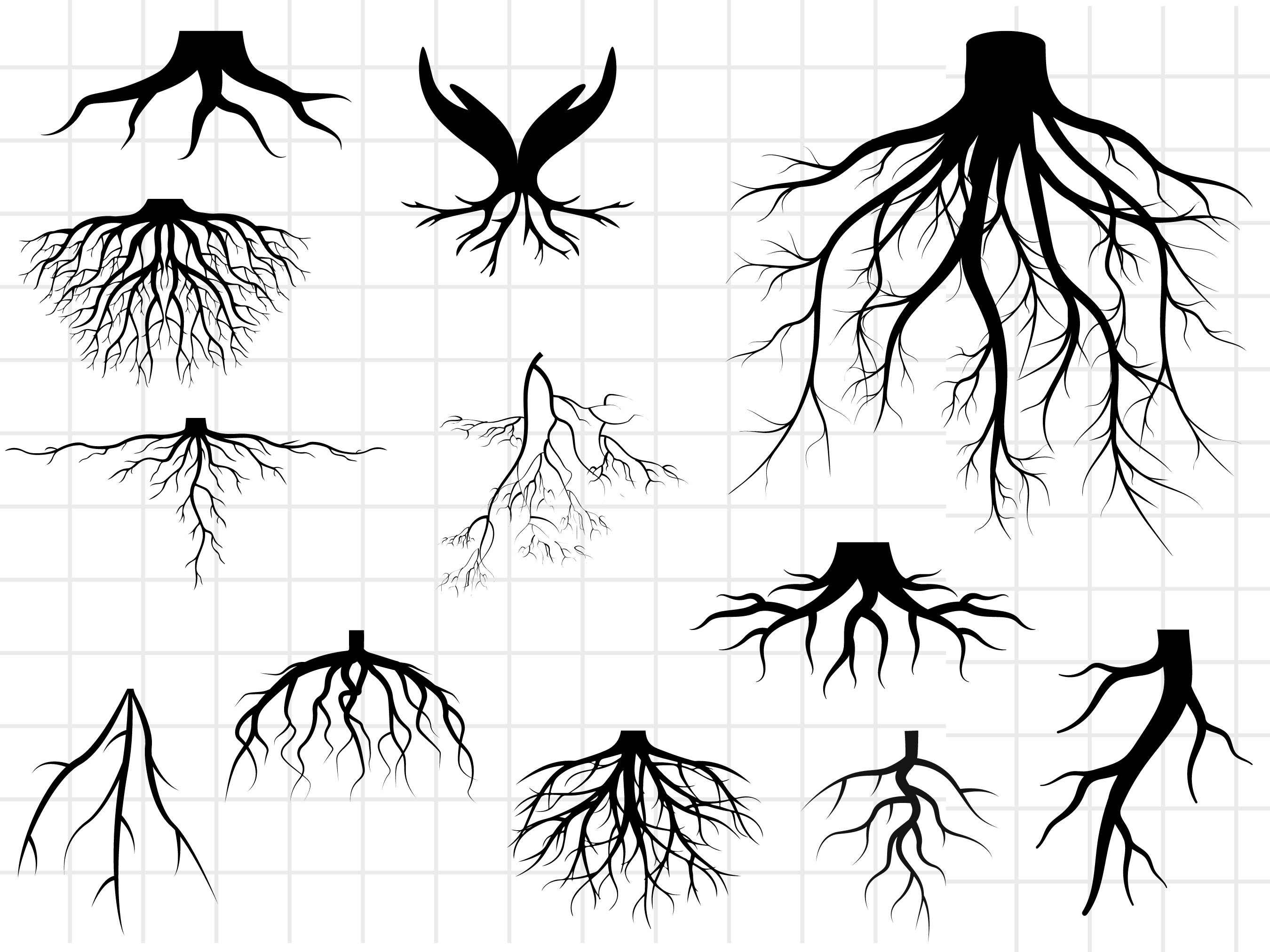 Tree Roots SVG File for Cricut, Bundle Collection of Roots, Vector ...