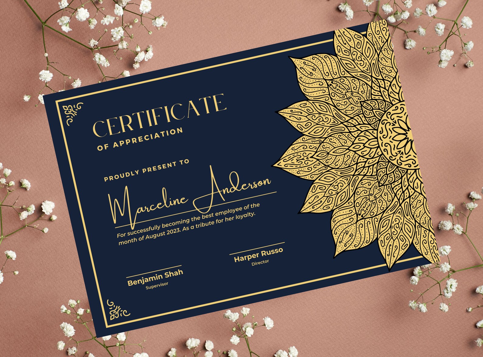 Editable Certificate of Appreciation Printable Appreciation Certificate ...