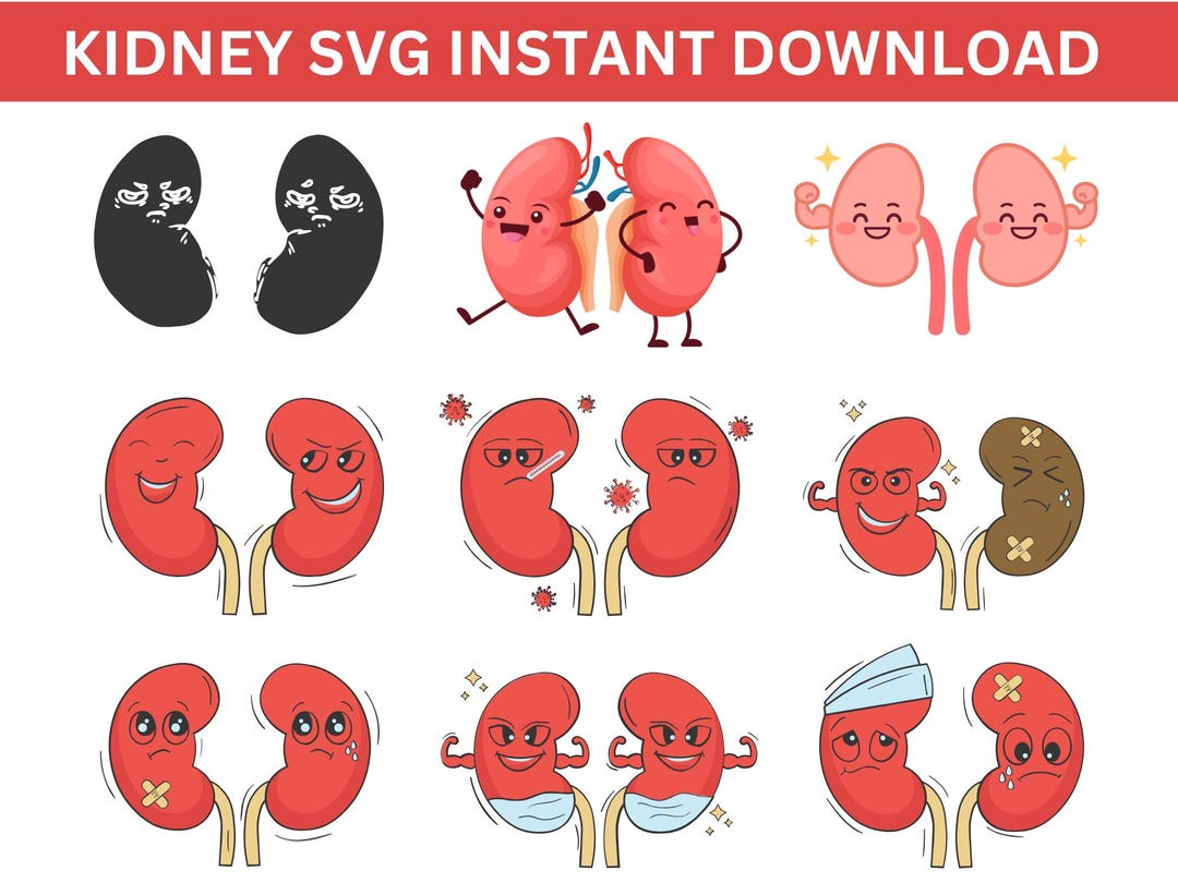 Kidney Svg Bundle, Kidney Clipart for Cricut, Kidney Silhouette, Kidney ...
