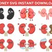 Kidney SVG Bundle: Clipart, Silhouette, Vector, Decal (cut File) - Etsy