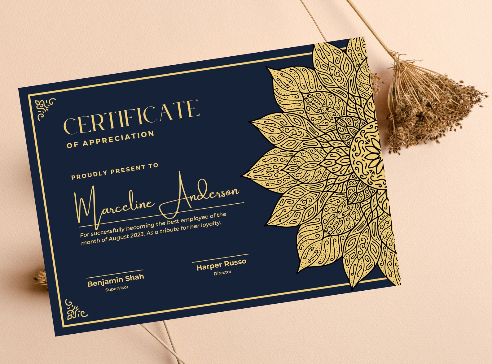 Editable Certificate of Appreciation Printable Appreciation Certificate ...