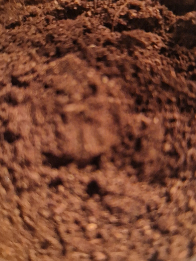 Bute /motsoko /snuff 20g - Etsy