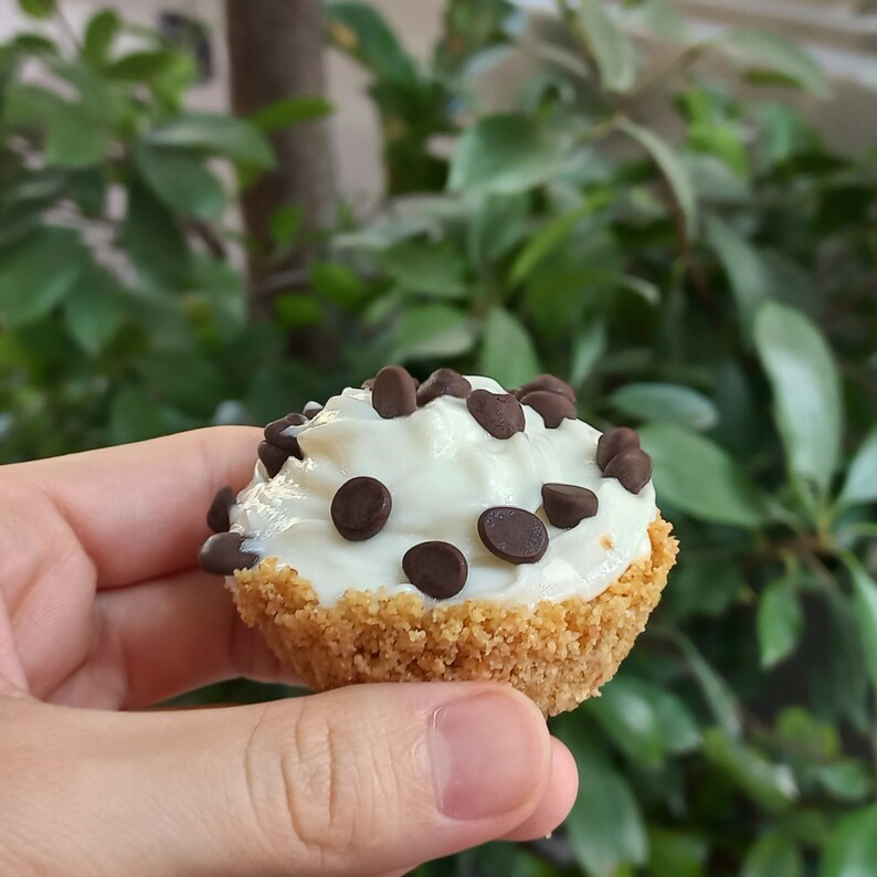 Cream Filled Cheesecake / Biscuit Base / Cream Cheese / Party - Etsy