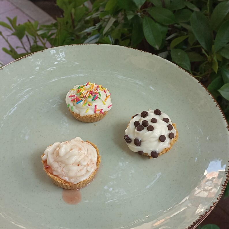 Cream Filled Cheesecake / Biscuit Base / Cream Cheese / Party - Etsy
